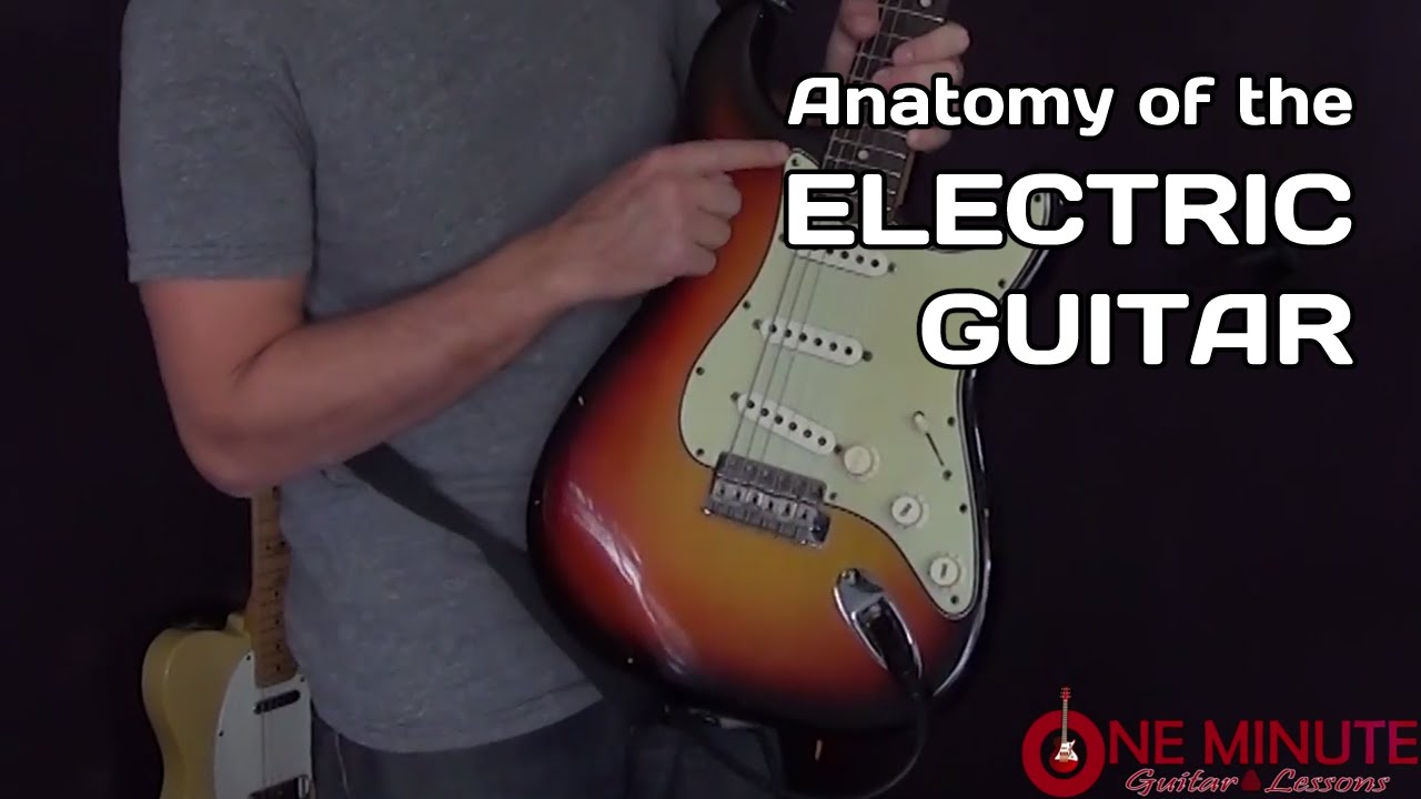 Anatomy of the Electric Guitar - 1 Minute Lesson - YouTube