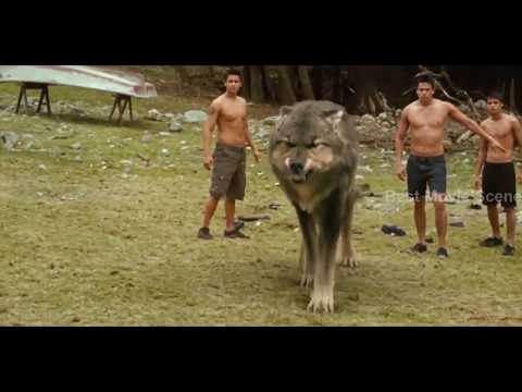[BEST MOVIE SCENE HD] Werewolf Transformation
