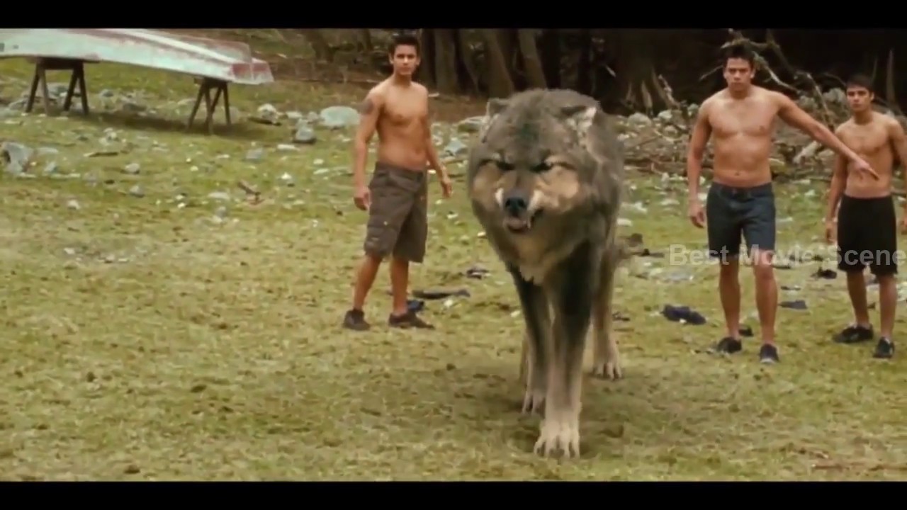 [BEST MOVIE SCENE HD] Werewolf Transformation - YouTube