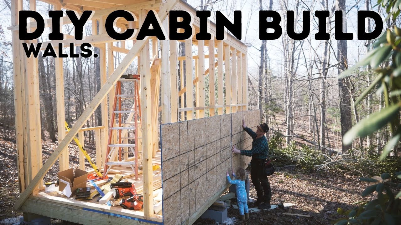 Motivated man builds a tiny cabin - DIY Micro Cabin that you could ...