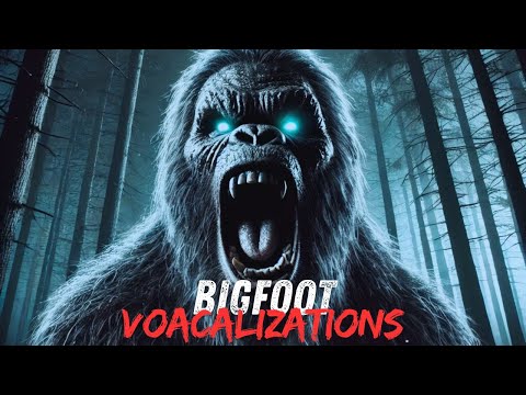 Oregon Man Captures Bizarre Bigfoot Howls and Laughter - Listen!