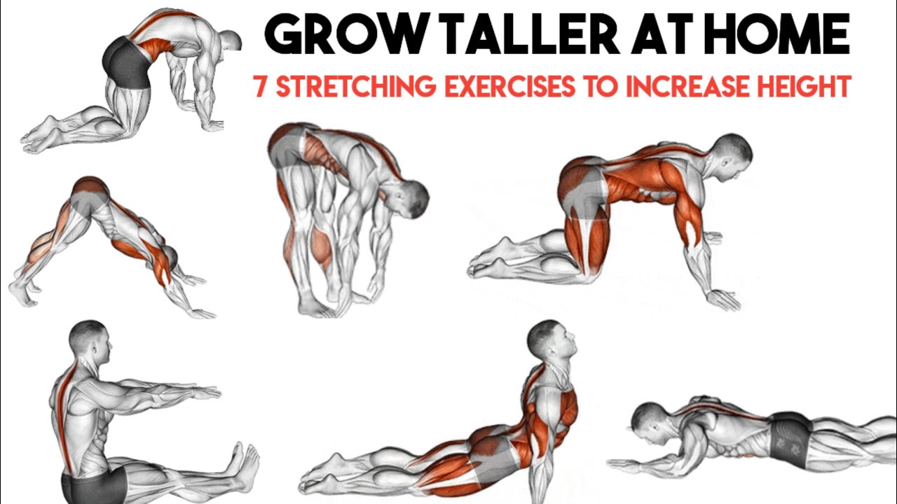 Grow Taller At Home | 7 Stretching Exercises To Increase Height - YouTube