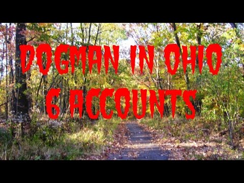 DOGMAN IN OHIO 6 ACCOUNTS - YouTube