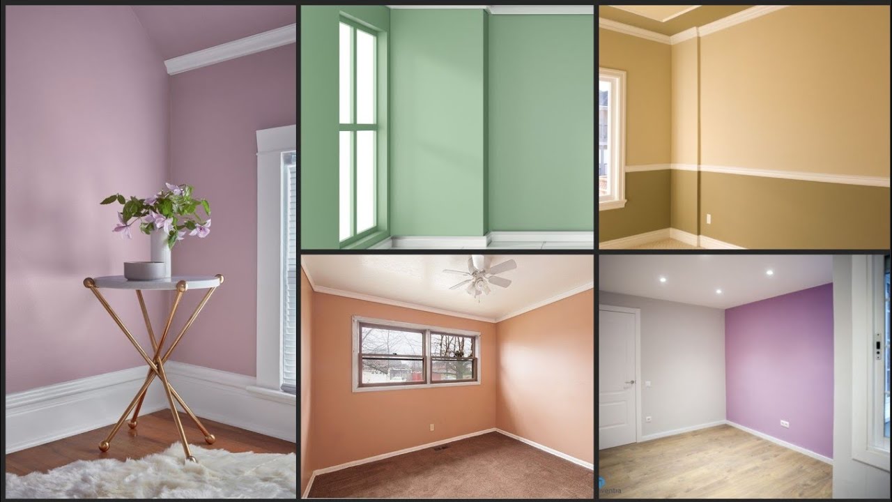 Beautiful Wall Colours Ideas for Modern Home || Latest Interior Wall ...