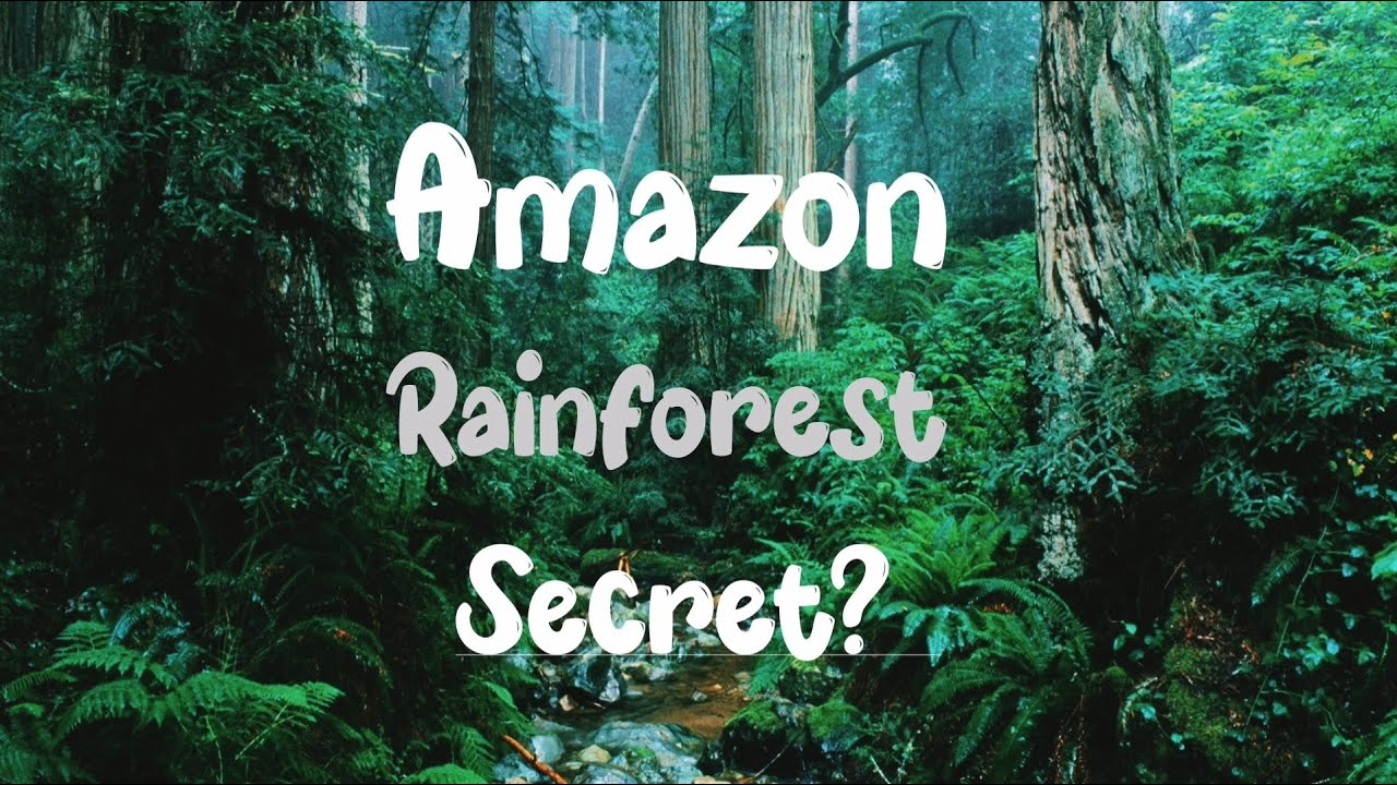Amazon rainforest: Secret& Discovery - YouTube