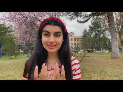 Motivasiya nədir ? Necə daha motivasiyalı hiss edə bilərik ?