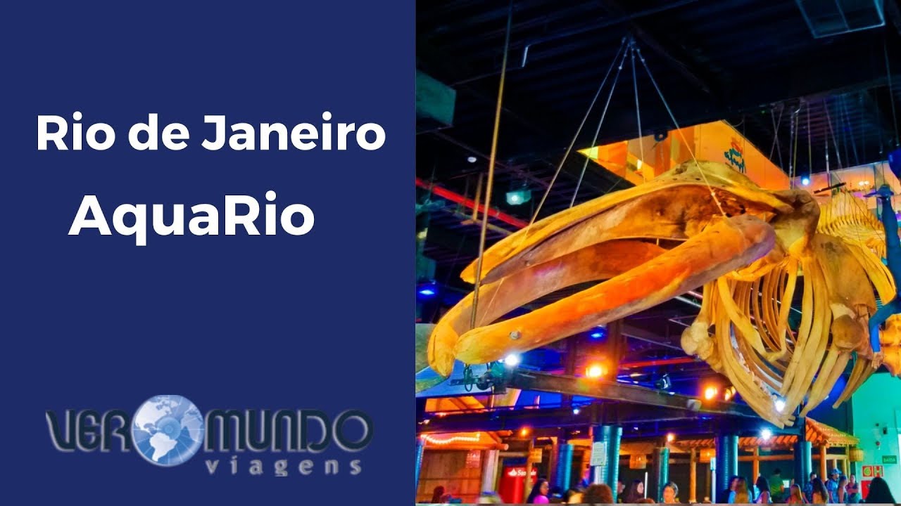 AquaRio - Rio de Janeiro - YouTube