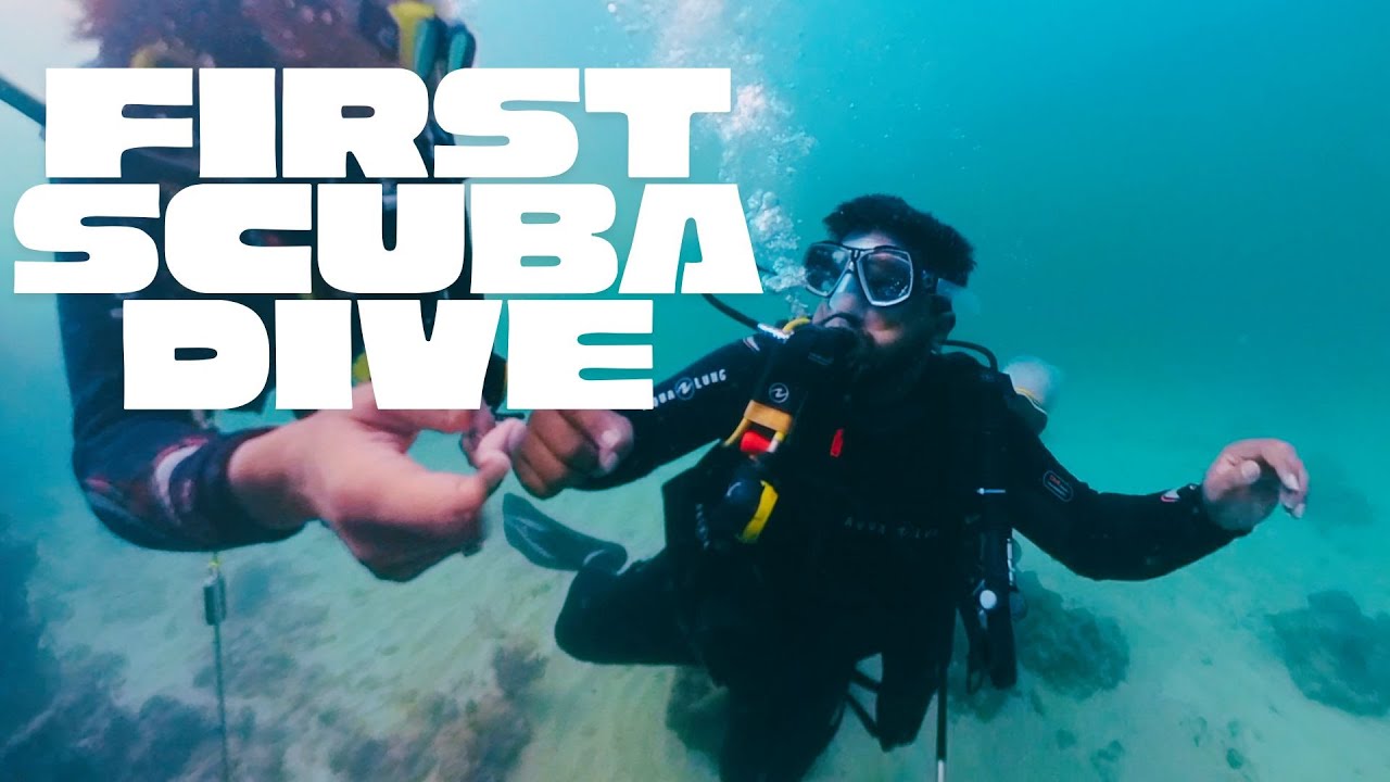 🌊 My First Scuba Dive Experience | Beginner Dive Adventure | Underwater ...