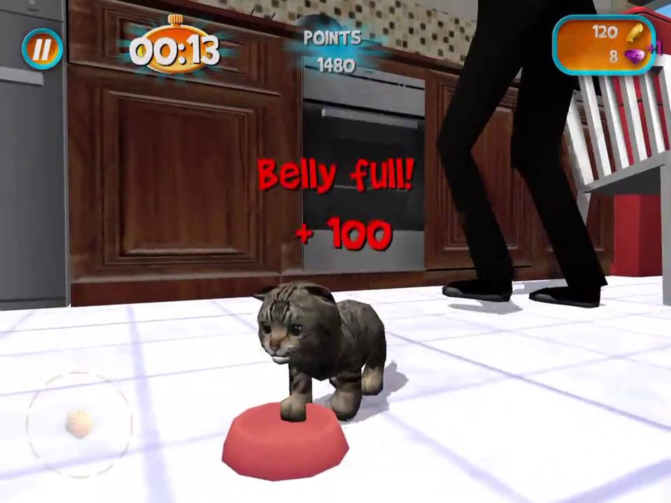 Check out Cat Simulator 2015 - YouTube