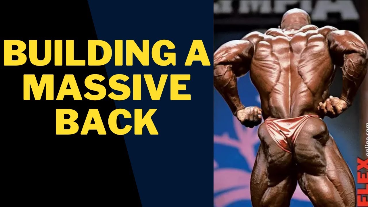 Building A Massive Back - YouTube