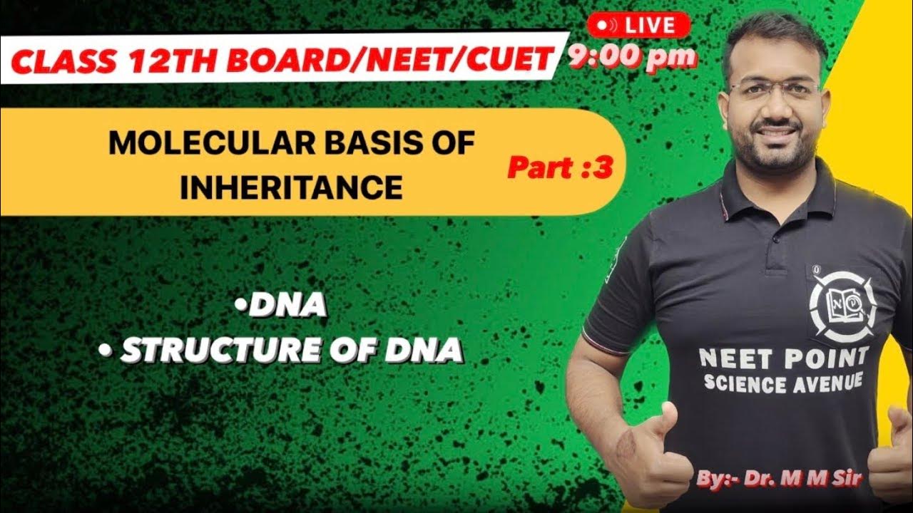 molicular basis of inheritance part 3 - YouTube