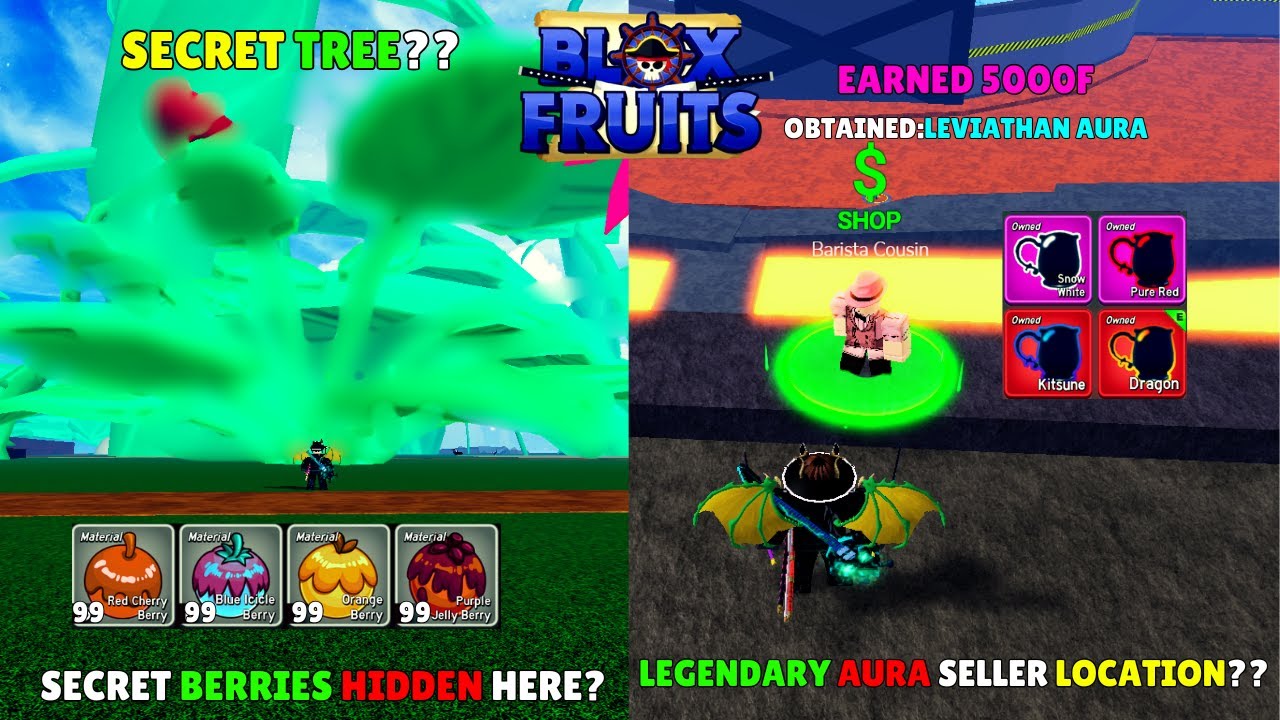 LOCATIONS Of BERRIES And BARISTA COUSIN Second Sea edition [BLOX FRUITS ...