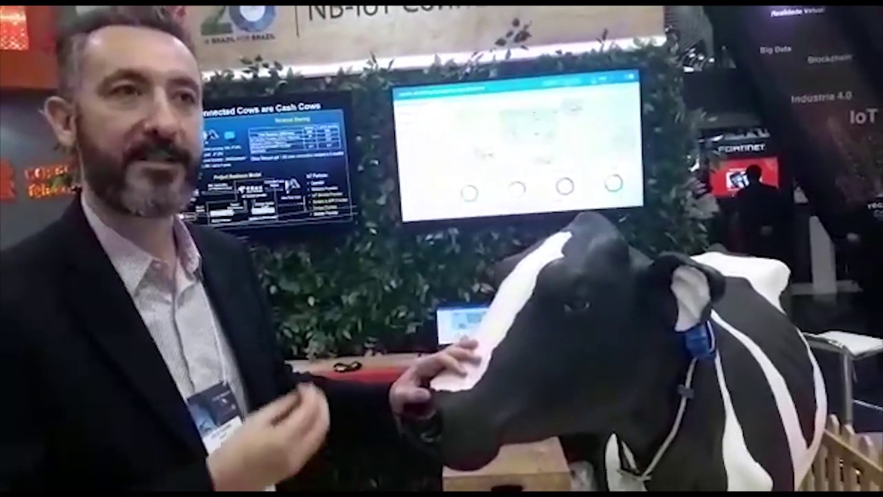 IoT: Vaca Conectada | Futurecom 2018 - Huawei Brasil - YouTube