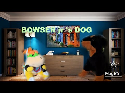 BOWSER jr 's DOG - YouTube