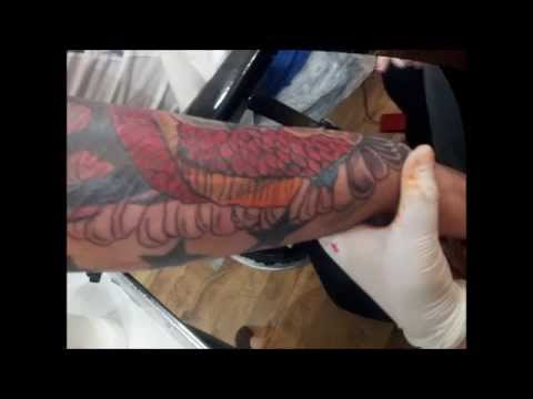 Osmanlı Dövmesi Ottoman Tattoo Beyaz Kedi