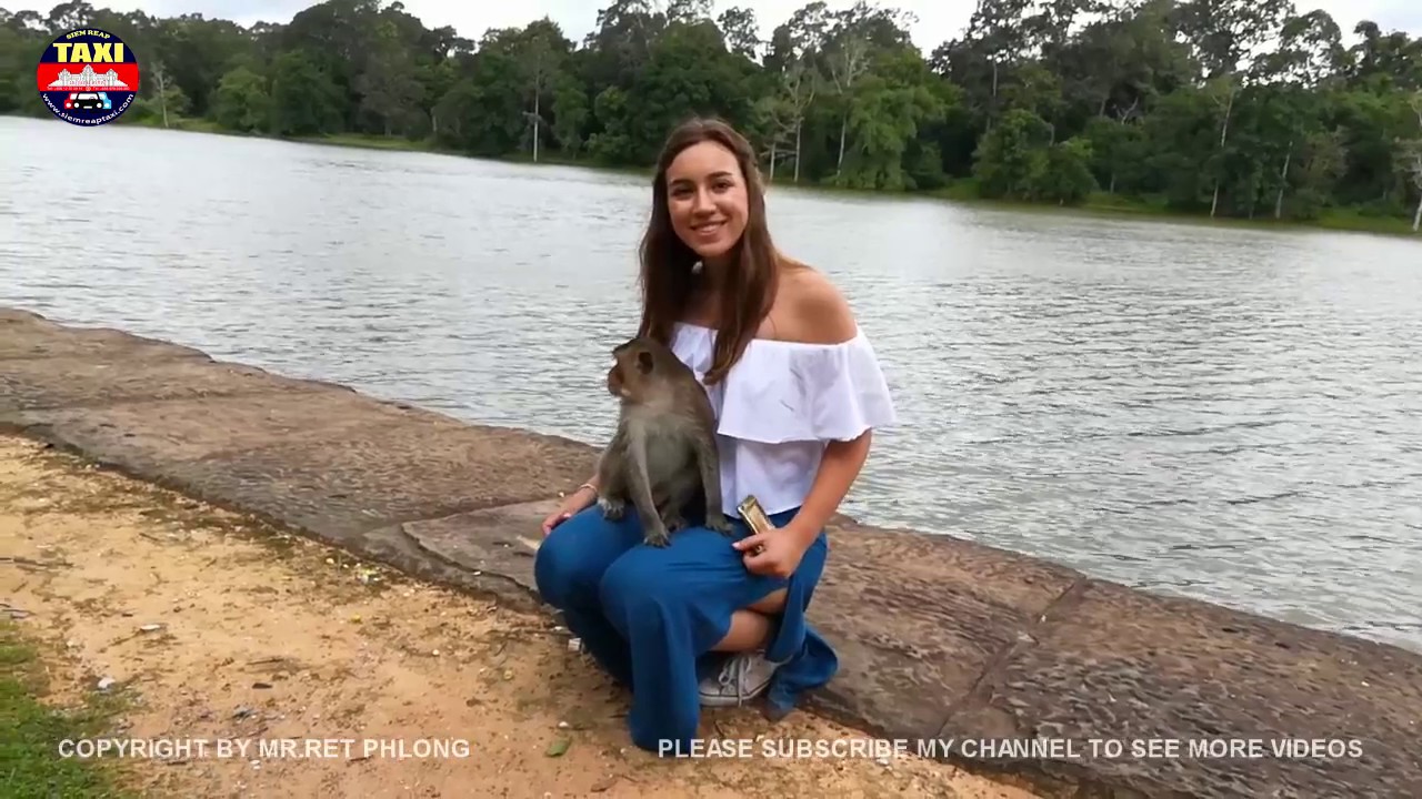 Amazing Monkey Meeting Ladies - Monkey Mating - YouTube