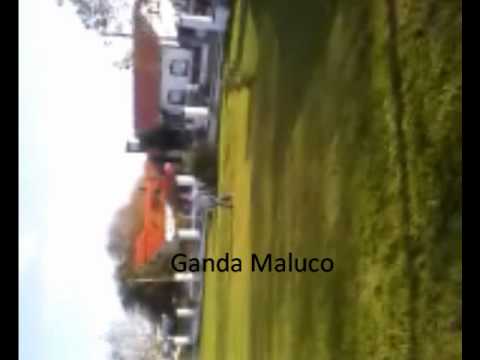 R.I.P Jorge Arruda - YouTube