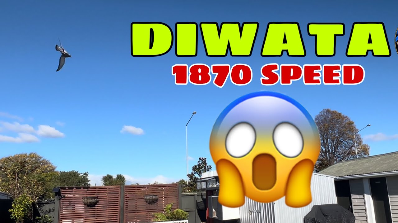 DIWATA NAG SPEED NG 1870😱😱 BILIS NG MGA PAUWIAN PARANG JET🚀 🚀DUNEDIN ...