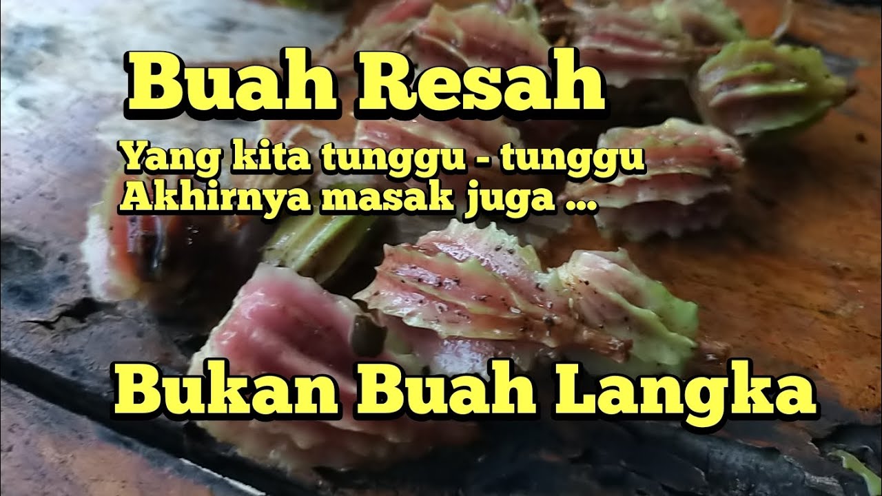 MEMANEN BUAH RESAH - YouTube