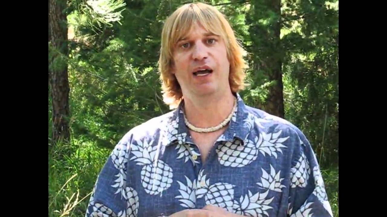 teach your bird to talk with Rod Villemaire in HD - YouTube