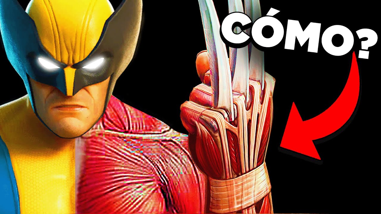 La Ciencia De: ¿Cómo Funcionan Las Garras De Wolverine? - YouTube