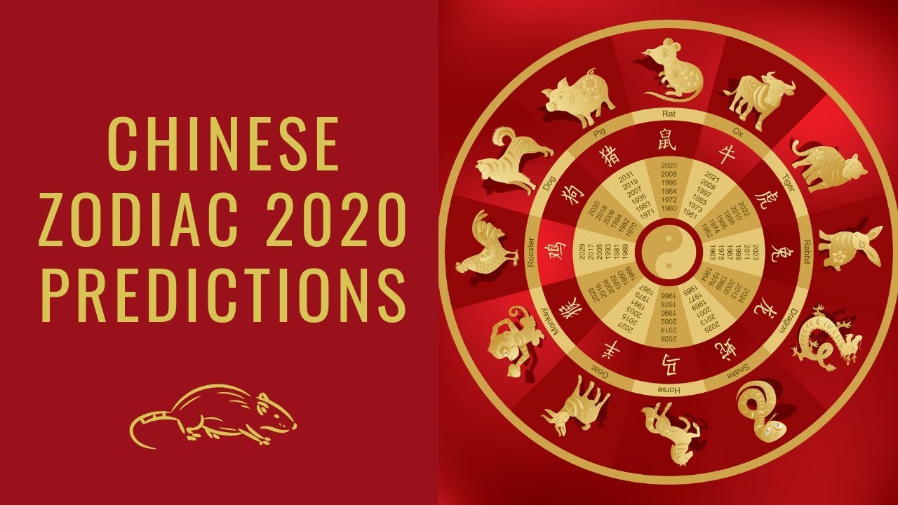 Rat Horoscope 2020 - YouTube