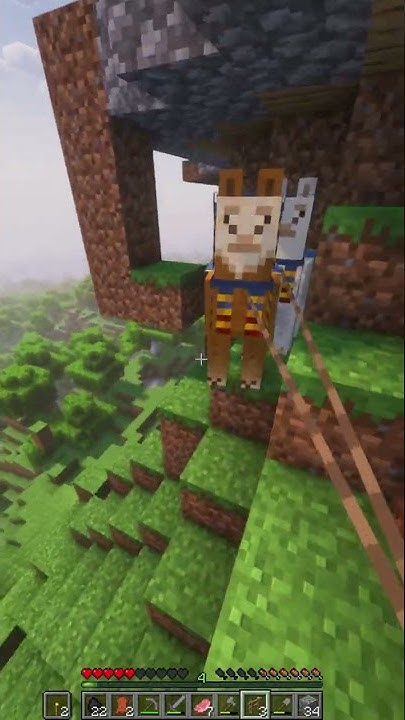 Minecraft 1.19 Server New Shaders & Mods Survival Multiplayer Java SMP ...