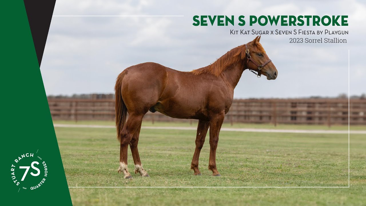 2023 Sorrel Stallion, Seven S Powerstroke | Hip 18 - YouTube