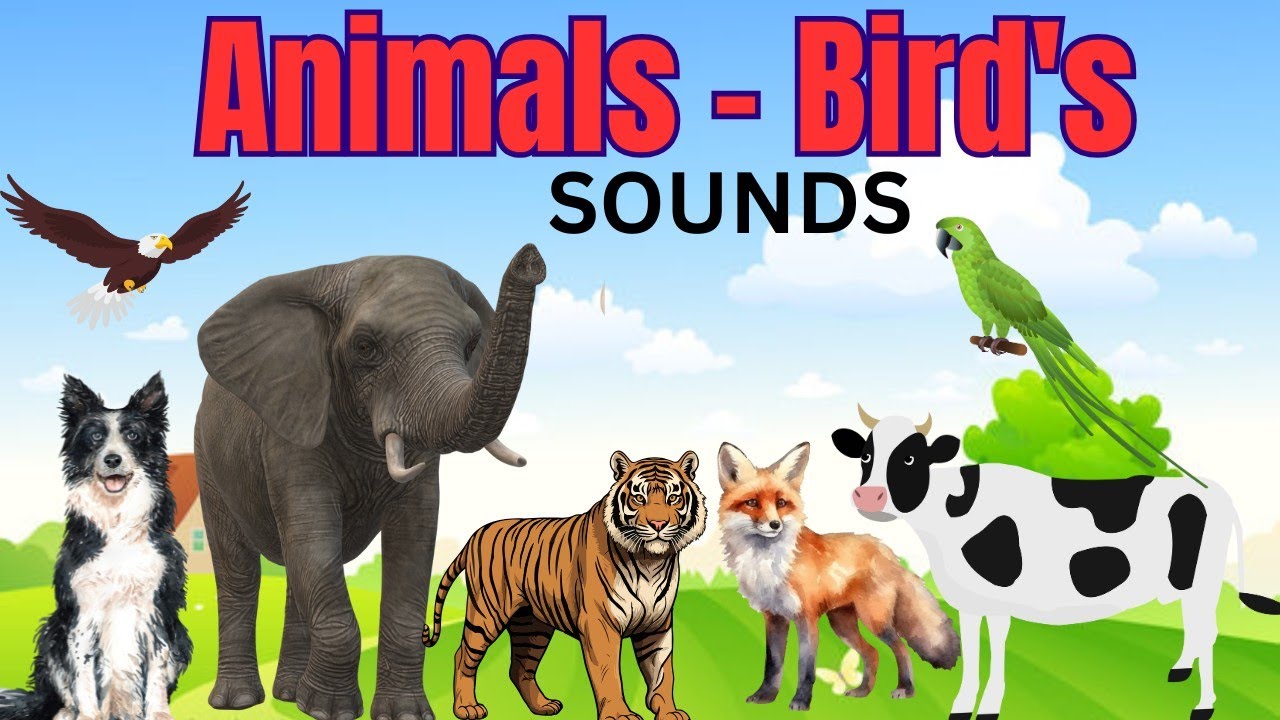 Animals sounds song ( New Version ) | Animal sounds for babies | These ...