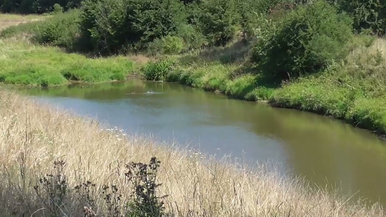 Odra stare koryto - YouTube