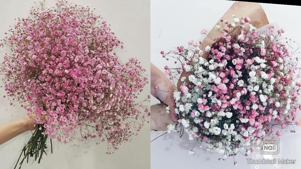 DIY Baby Breath paper flower making / How to make baby breath paper ...