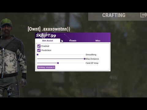 "Legit Hacking" ft. SKRIPT.gg - YouTube