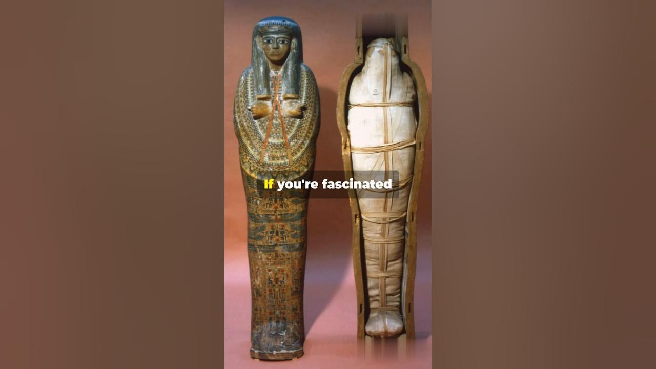 Step by Step: 🏺How Mummies Were Made in Ancient Egypt!⚰️#shorts # ...
