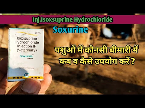 Inj.Soxurine (Isoxsuprine Hydrochloride) uses, Dosage & Side effects # ...