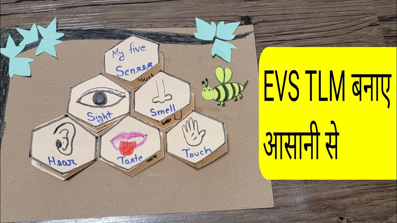 My Five Senses Evs Tlm Evs Tlm For Primary Class Science Tlm For