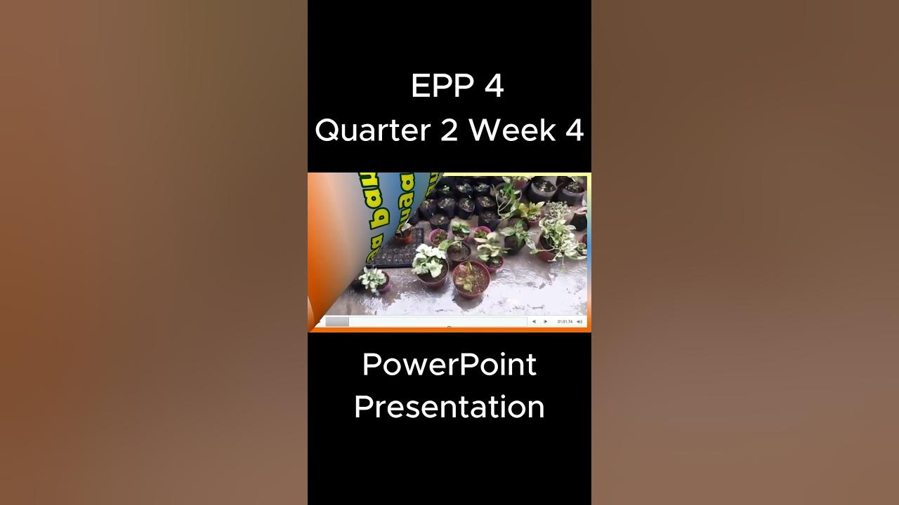 EPP 4 Q2 Week 4 MATATAG PowerPoint Presentation #matatagcurriculum #matatag #grade4 - YouTube
