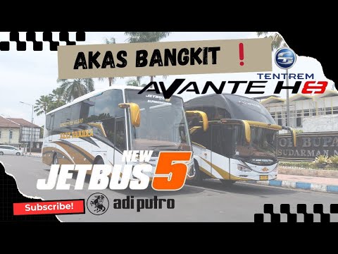 SOFT LAUNCHING AKAS AURORA AAA, JEMBER 18 SEPTEMBER 2024 - YouTube