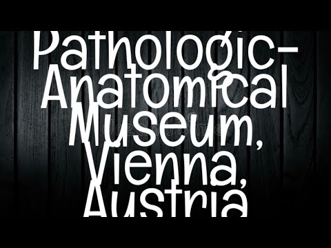 The Haunted Pathologic Anatomical Museum in Vienna, Austria - YouTube