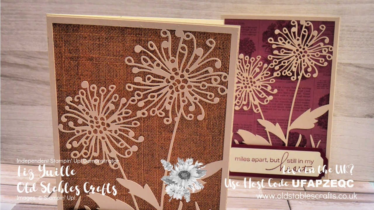 Quick and Easy Shimmer Detailed Laser Cut Paper Cards - AT A DISCOUNT ...