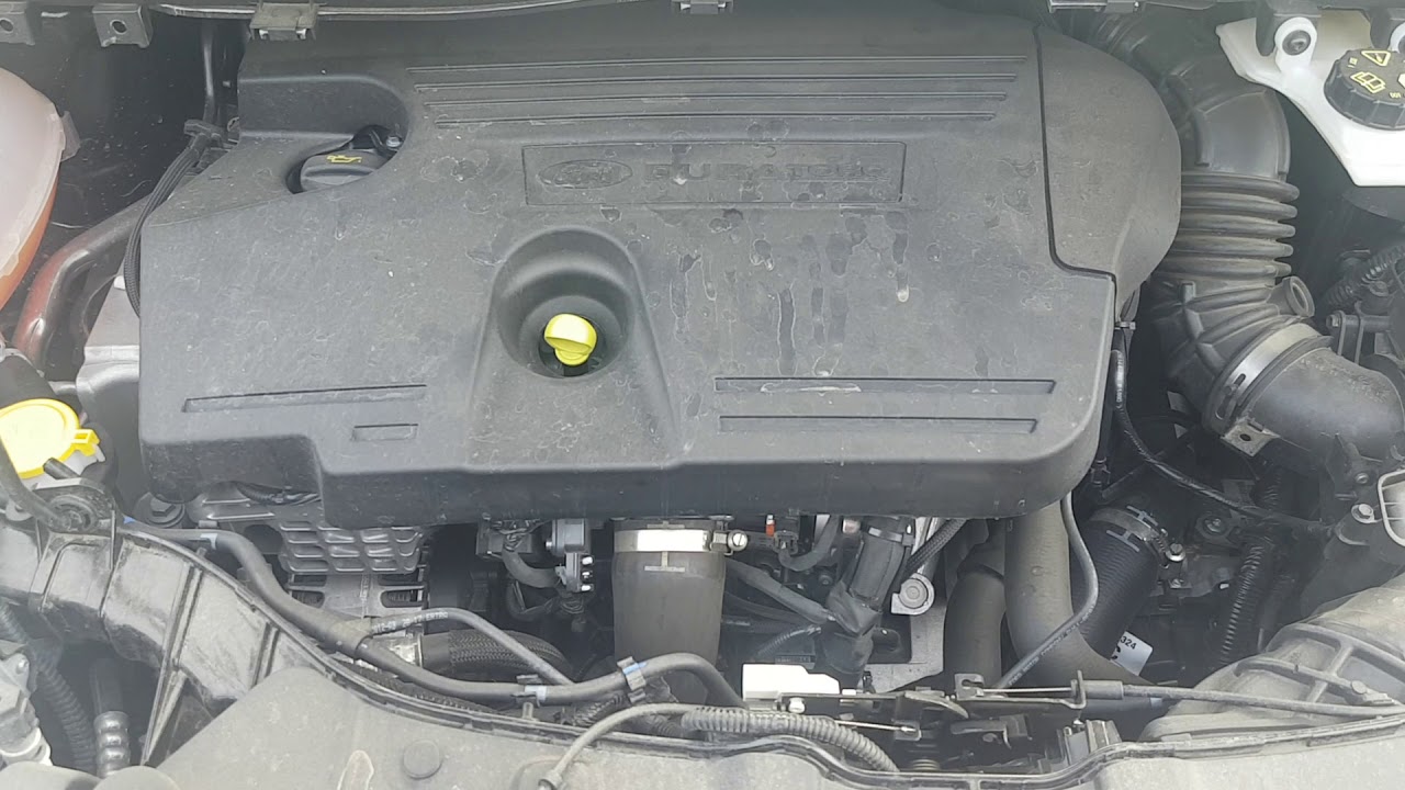 Ford Kuga 2017, 2.0 Diesel, engine sound at 8.000 km (5.000 miles ...