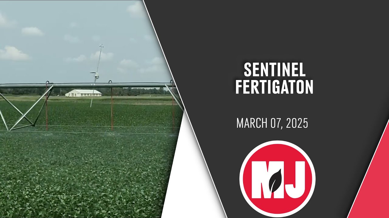 Sentinel Fertigation | Nitrogen Management | March 07, 2025 - YouTube
