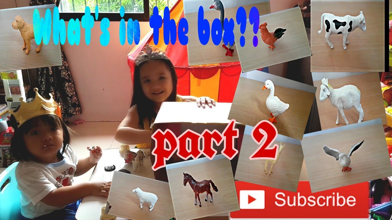 What's in the box? Part 2 (Different Animals) - YouTube