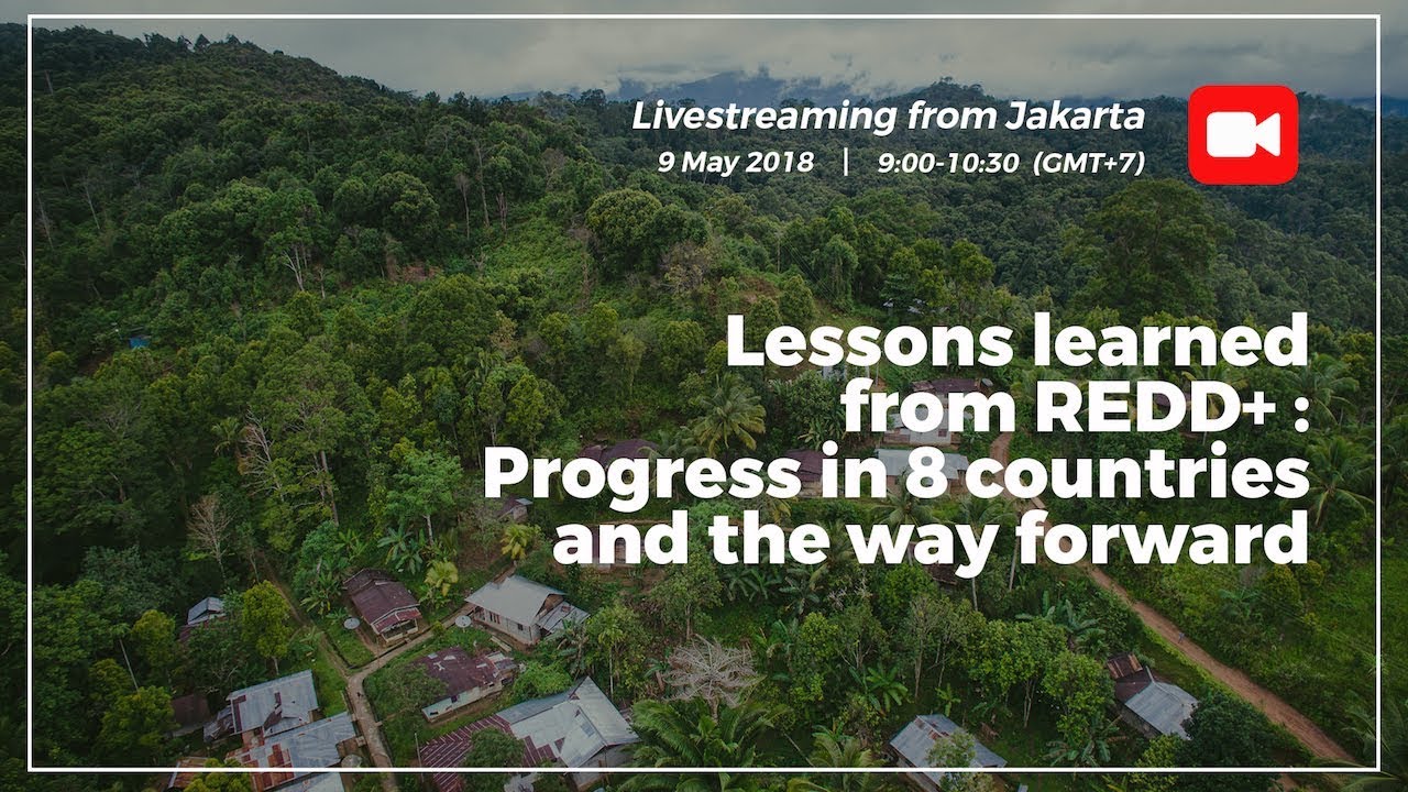 Lessons learned form REDD+: Progress in 8 countries and the way forward ...