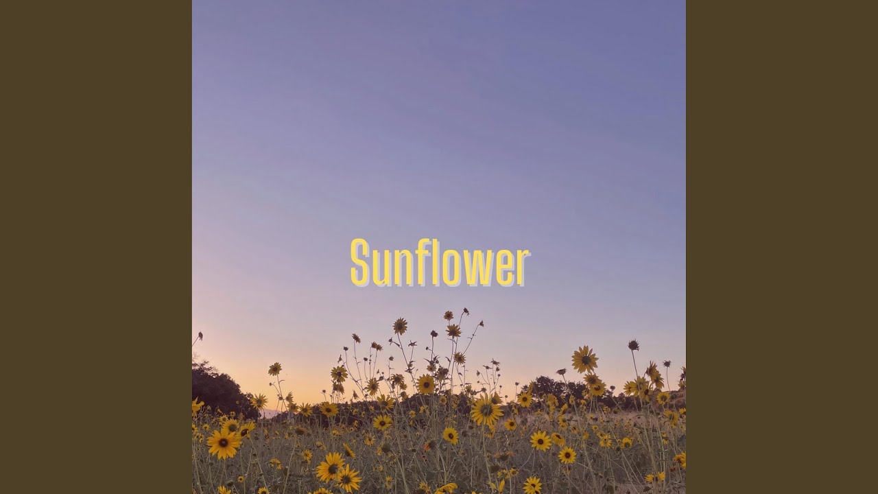 Sunflower (Acoustic) - YouTube