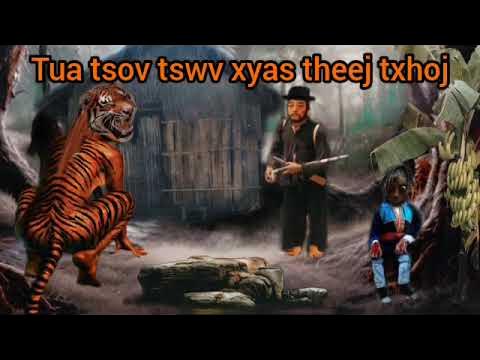 Dab neeg yawm txiv vam khwb tua tsov tswv xyas theej txhoj 07/06/2024 - YouTube