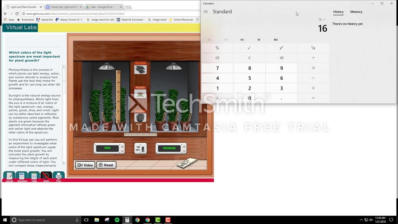 Instructions for Virtual Lab: Light & Plant Growth - YouTube