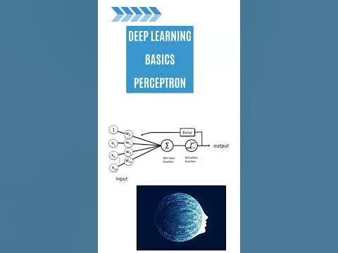 Deep Learning Basics: Perceptron - YouTube