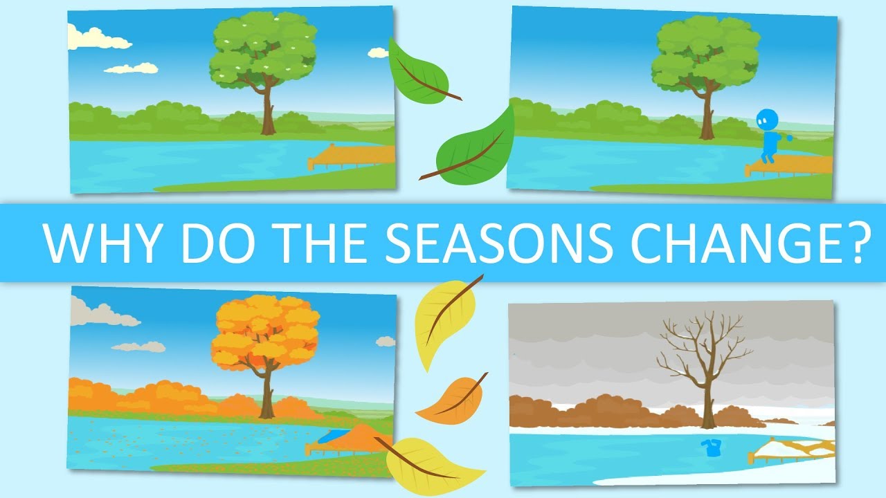 The Questionnaires Why Do The Seasons Change song YouTube the-questionnaires-why-do-the-seasons-change-song-youtube