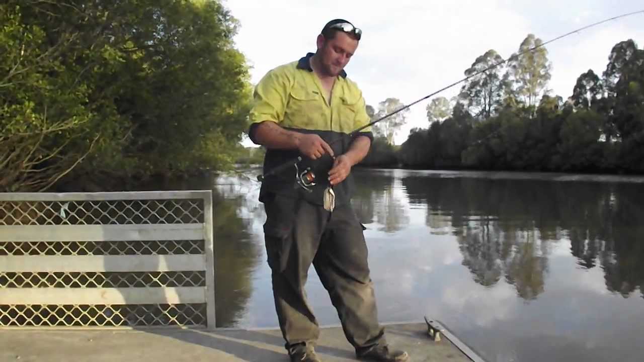 How to catch Logan River Bull Sharks - YouTube