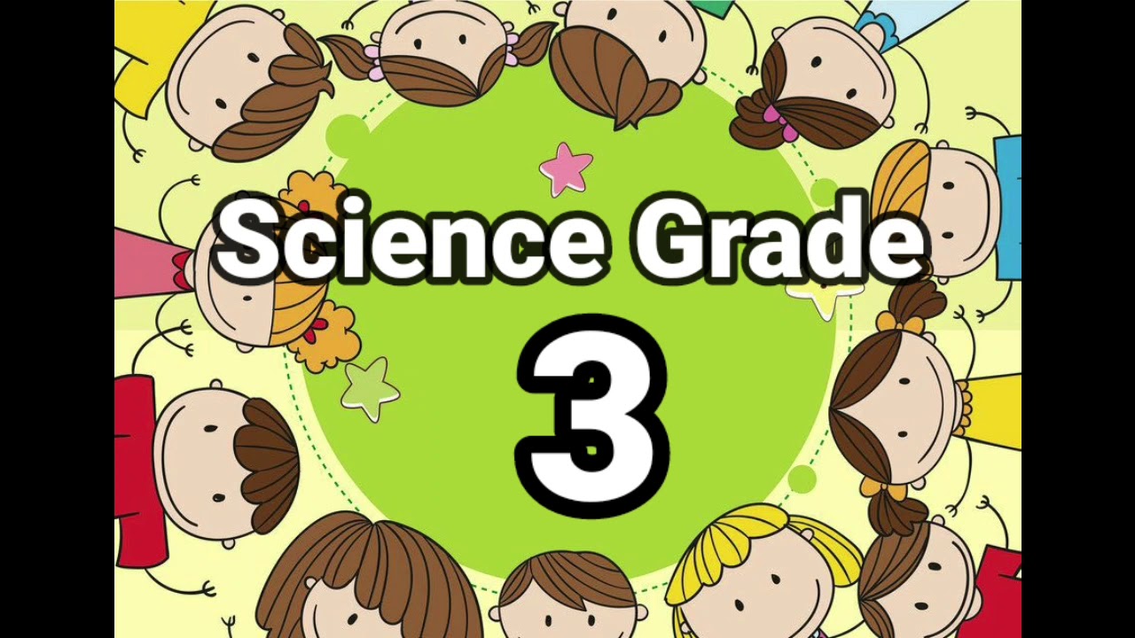 Science grade 3 : What are the ways we use our sense of touch? - YouTube